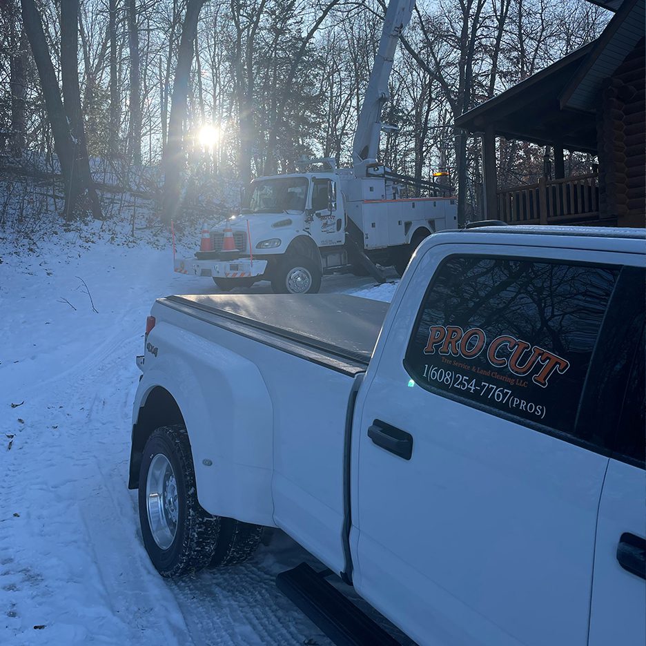 Our Work | Pro Cut Tree Service & Land Clearing LLC