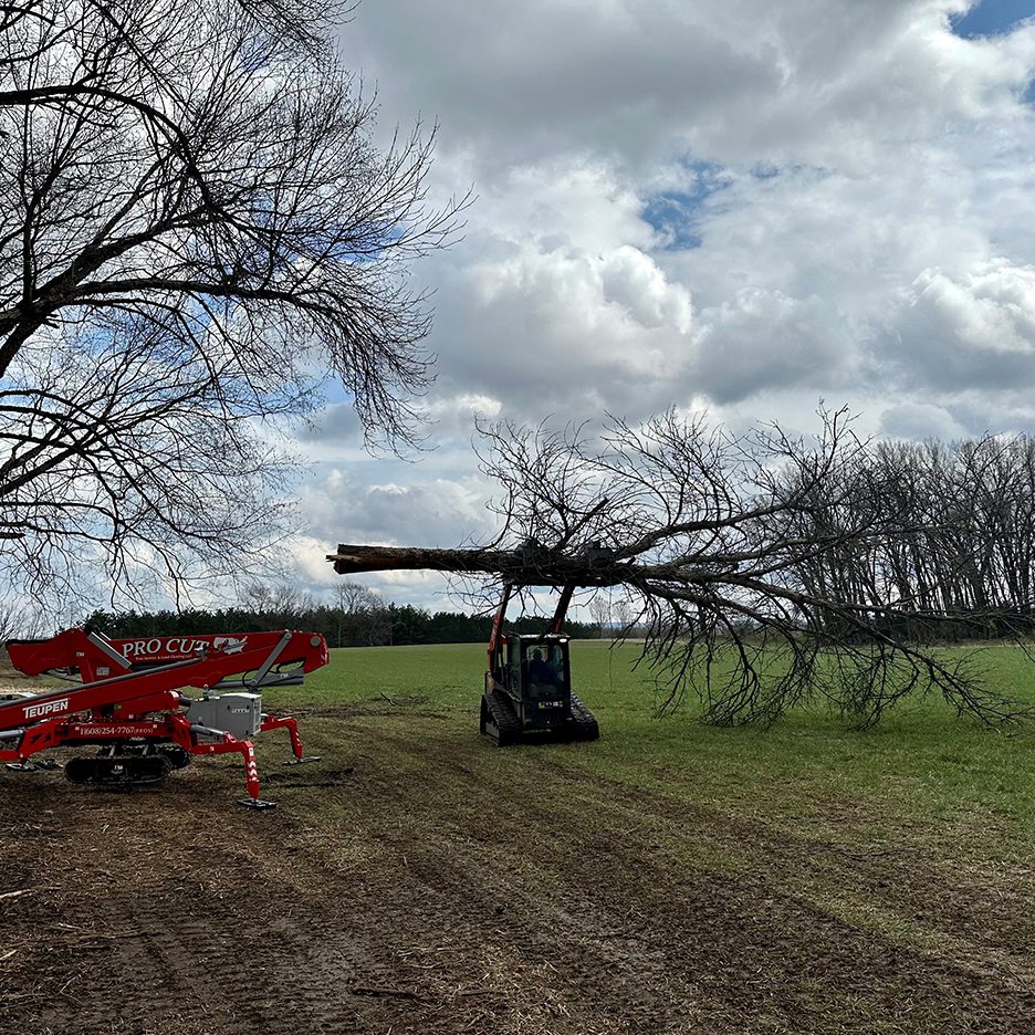 Our Work | Pro Cut Tree Service & Land Clearing LLC