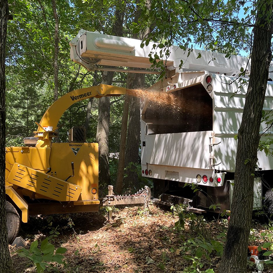 Our Work | Pro Cut Tree Service & Land Clearing LLC
