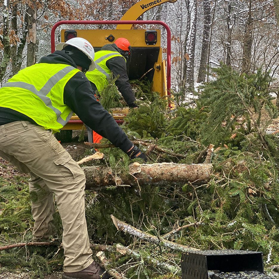 Our Work | Pro Cut Tree Service & Land Clearing LLC