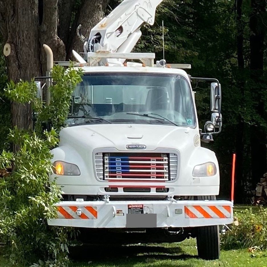 Our Work | Pro Cut Tree Service & Land Clearing LLC