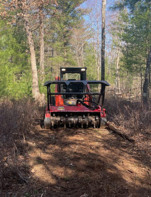 Services | Pro Cut Tree Service & Land Clearing LLC