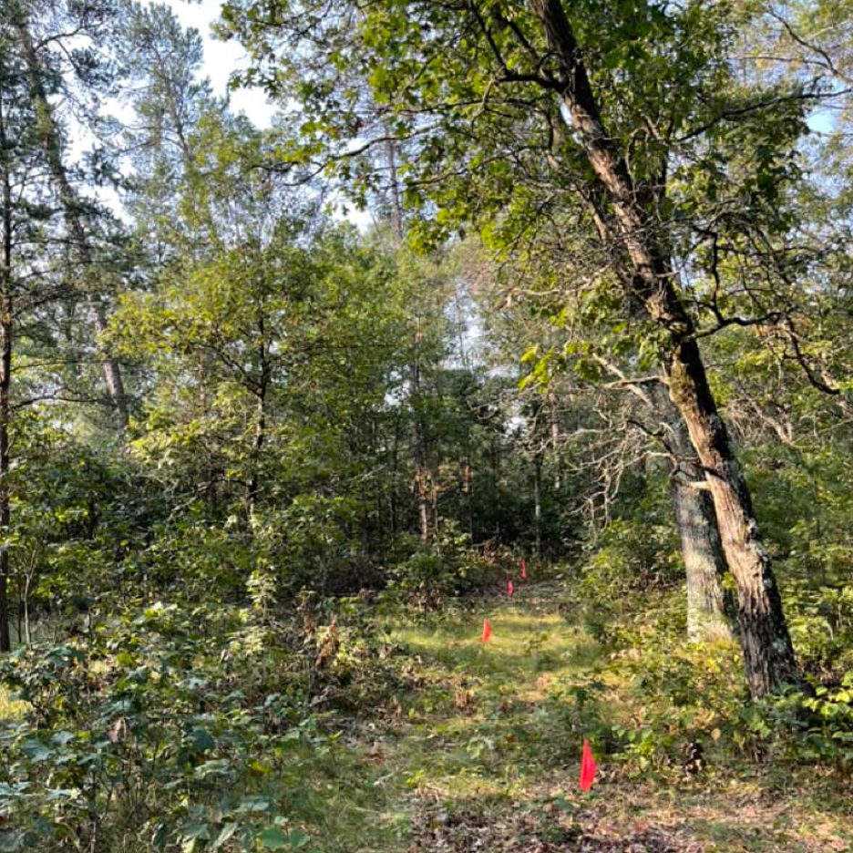 Our Work | Pro Cut Tree Service & Land Clearing LLC